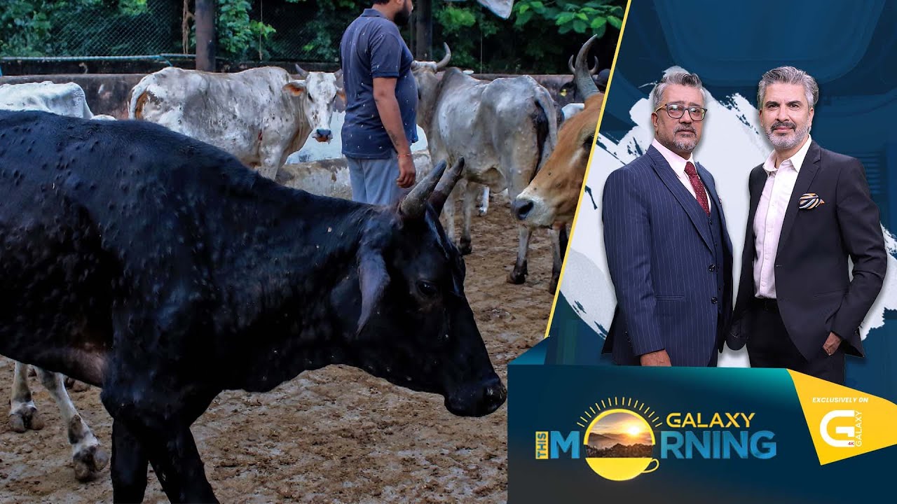 This Morning LIVE | 28 August 2023 | Galaxy This Morning - YouTube