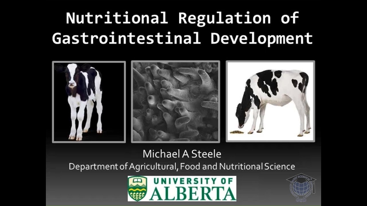 Nutritional Regulation of Gastrointestinal Development of the Calf ...