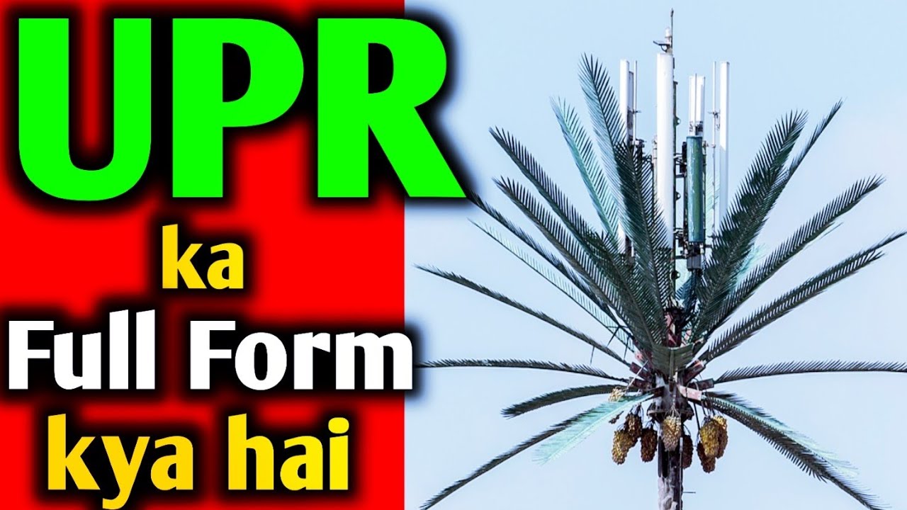what is UPR | full form of UPR | UPR kya hai | NPDB | UPR stands for ...
