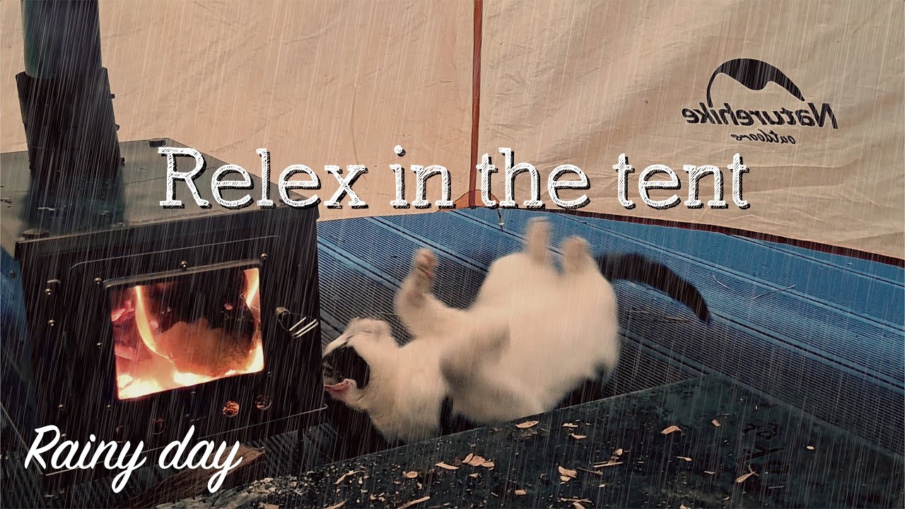 [Hot Tent] camping in the rain, relex in the tent, 편백숲속의 화목난로 텐트 안에서 ...