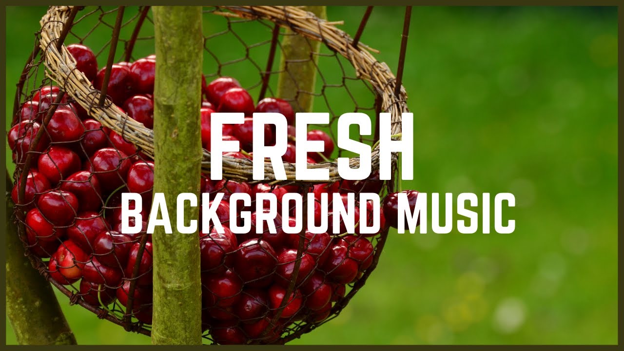 Fresh Background Music || No Copyright Music || Free Music - YouTube