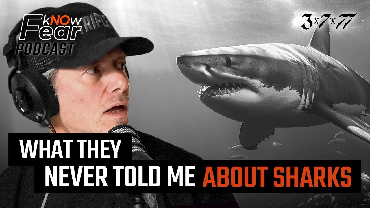 "What They Never Told Me About Sharks" kNOw FEAR Ep5 The Truth About ...