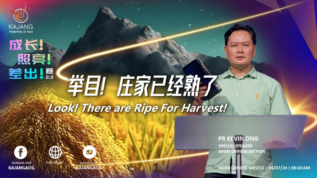 (Chinese Service) 14 July 2024 // 举目！庄家已经熟了 // Look! There are Ripe For ...