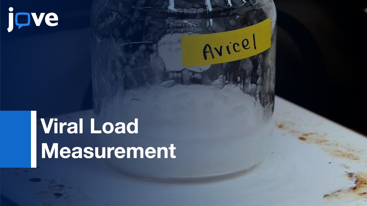 Viral Load Measurement - YouTube