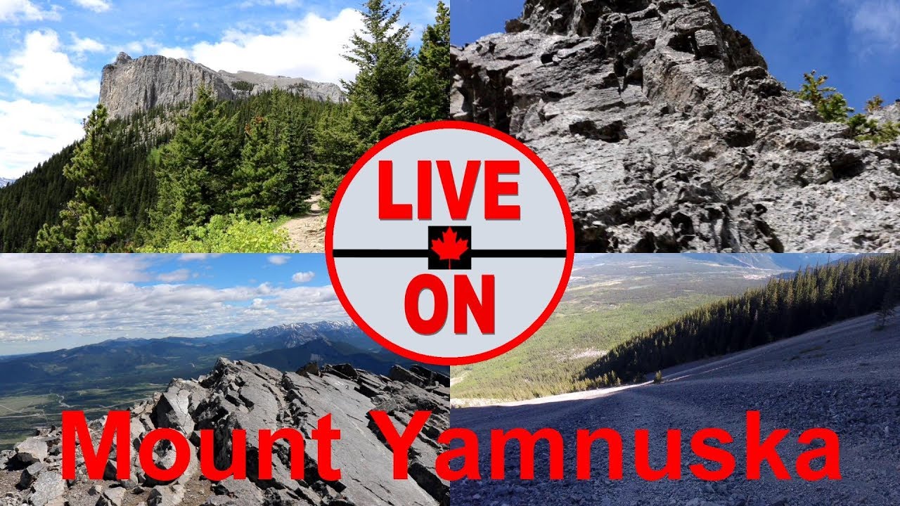 Mount Yamnuska Summit Hike, WOOHOO, and those chains #canadianrockies ...