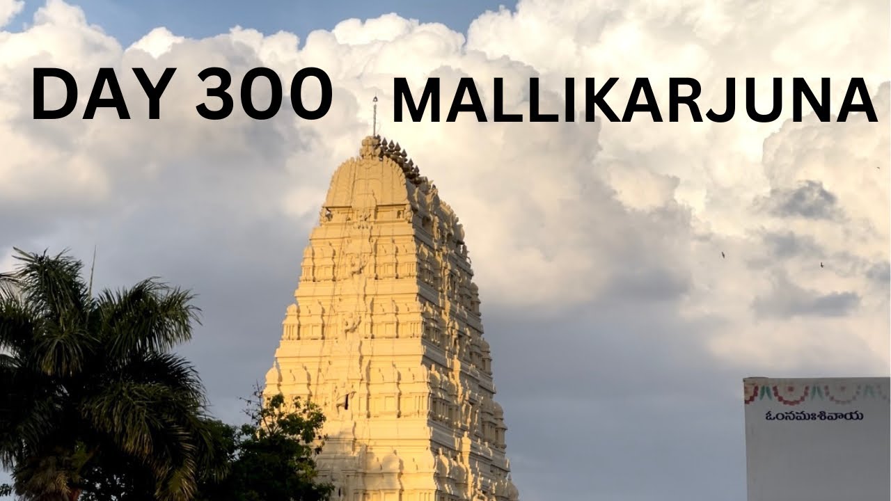 DAY 300 : MALIKA ARJUN : CHAR DHAM WALK WITH BUTTER - YouTube