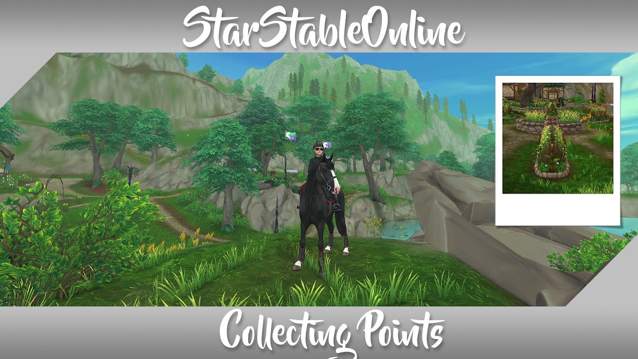 StarStableOnline | Collecting Points 💯 - YouTube