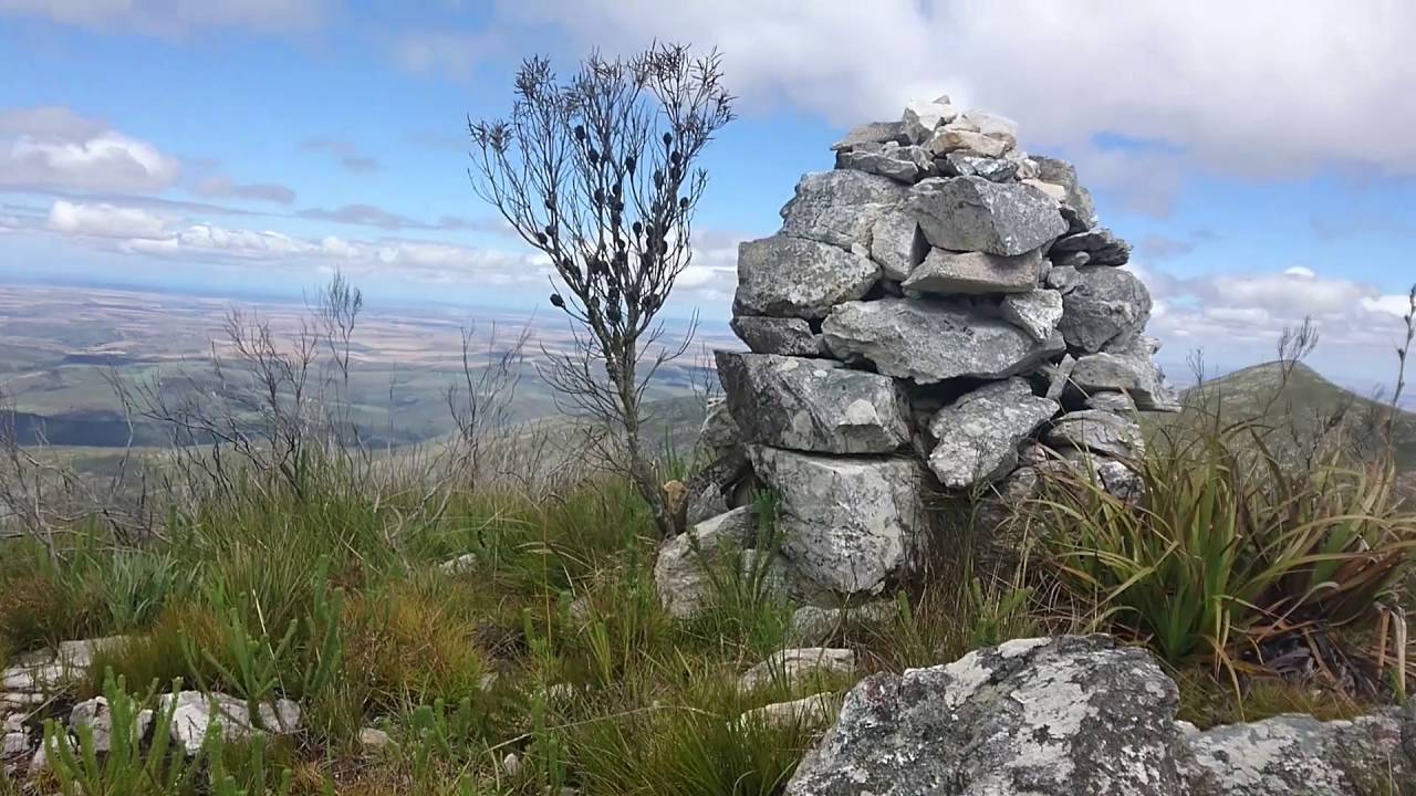 Grootvadersbosch & Boosmansbos - YouTube