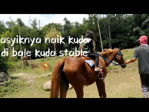 Naik kuda itu takut tapi asyik di bale kuda stable - YouTube