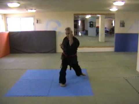 Urban Empi-Ha Kata - Forms of Elbow (Learning) - USA Goju Karate - YouTube