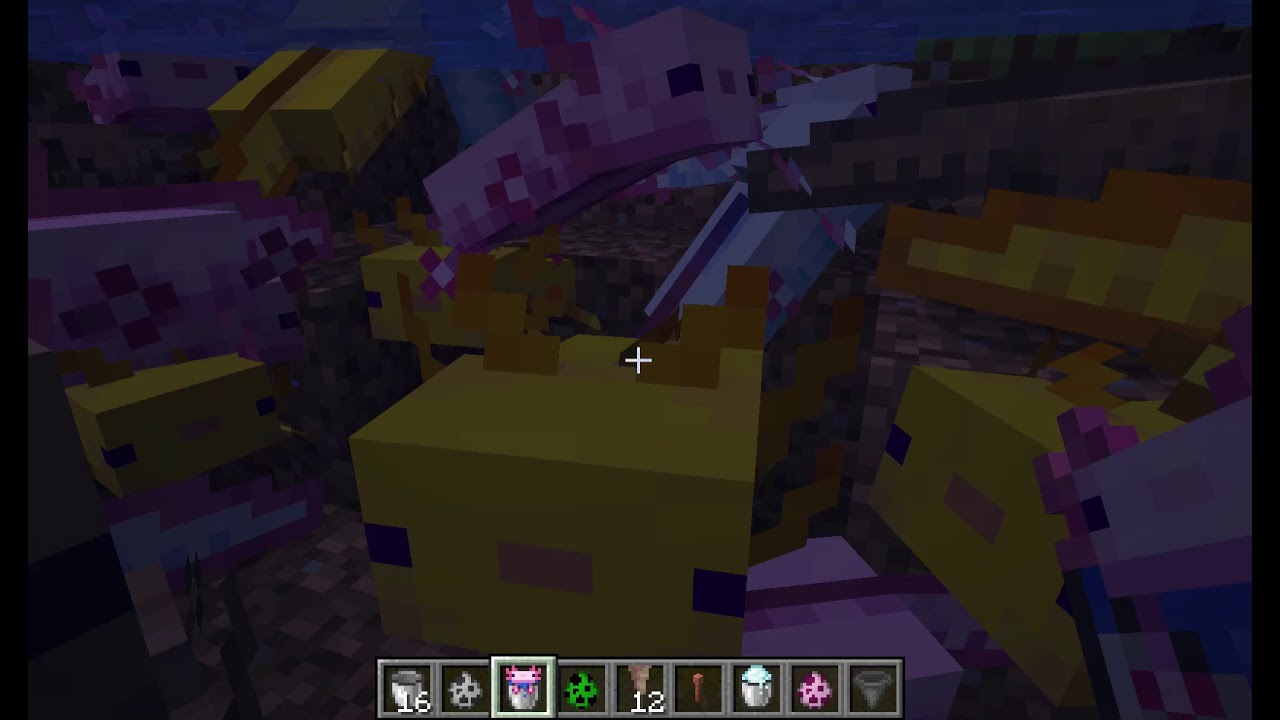 Minecraft Axolotl Army Test 1 - YouTube