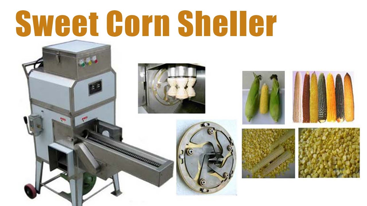 Effortless Sweet Corn Shelling: Watch Fresh Corn Easily Dehusked with Sweet Corn Sheller! - YouTube