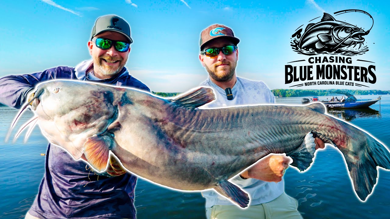 Chasing Blue Monsters - Pursuit For Record Blue Catfish - Official ...
