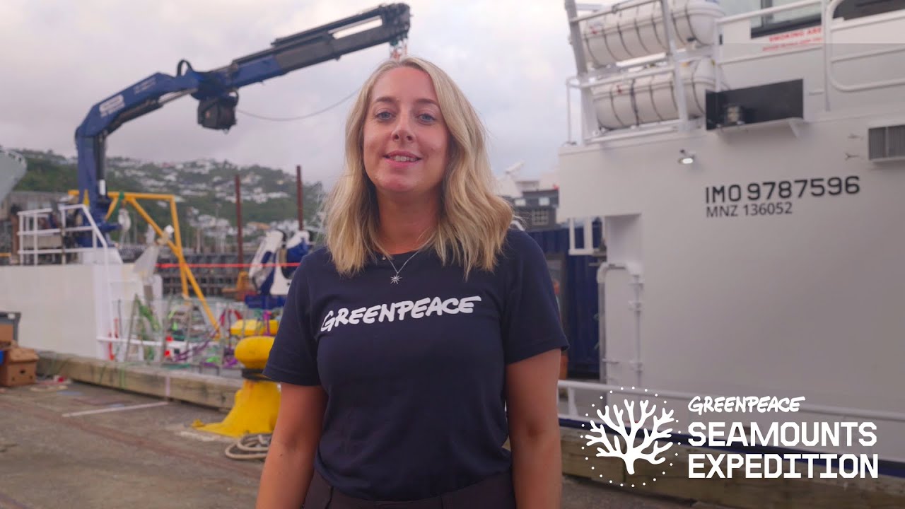 Ellie Hooper introduces the Greenpeace Seamounts Expedition - YouTube