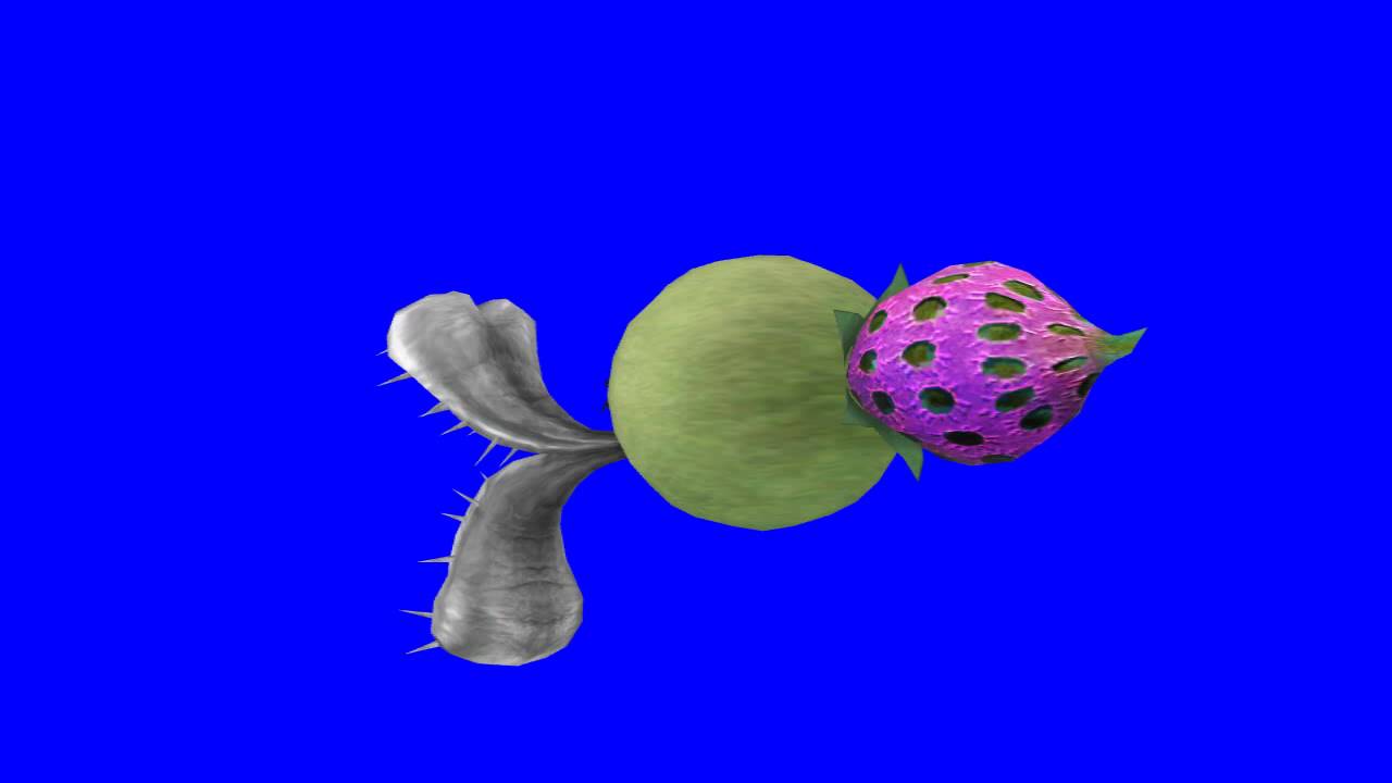 Bucculus chroma - YouTube