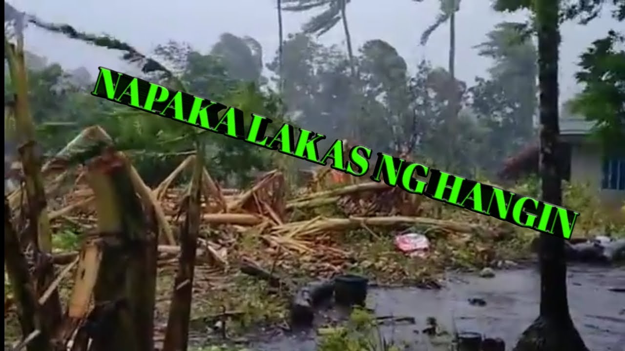 Signal # 5: Update Bicol Region(New Update) - YouTube