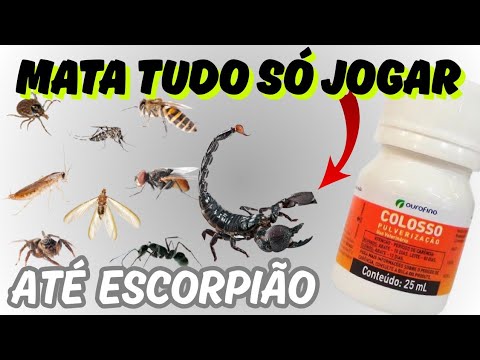 COMO MATAR 10 TIPOS DE INSETOS DE UMA SÓ VEZ ! Com menos de 40 REAIS ...