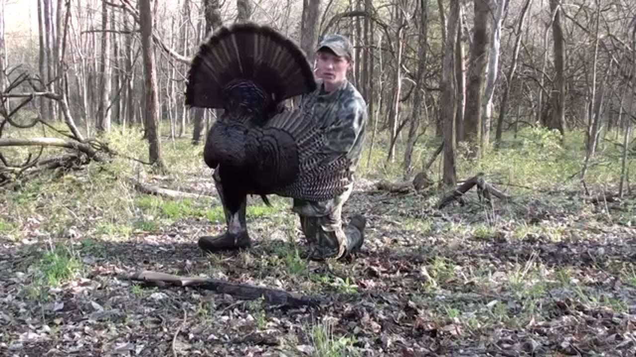 Turkey hunting monster 5 bearded Tennessee Tom - YouTube