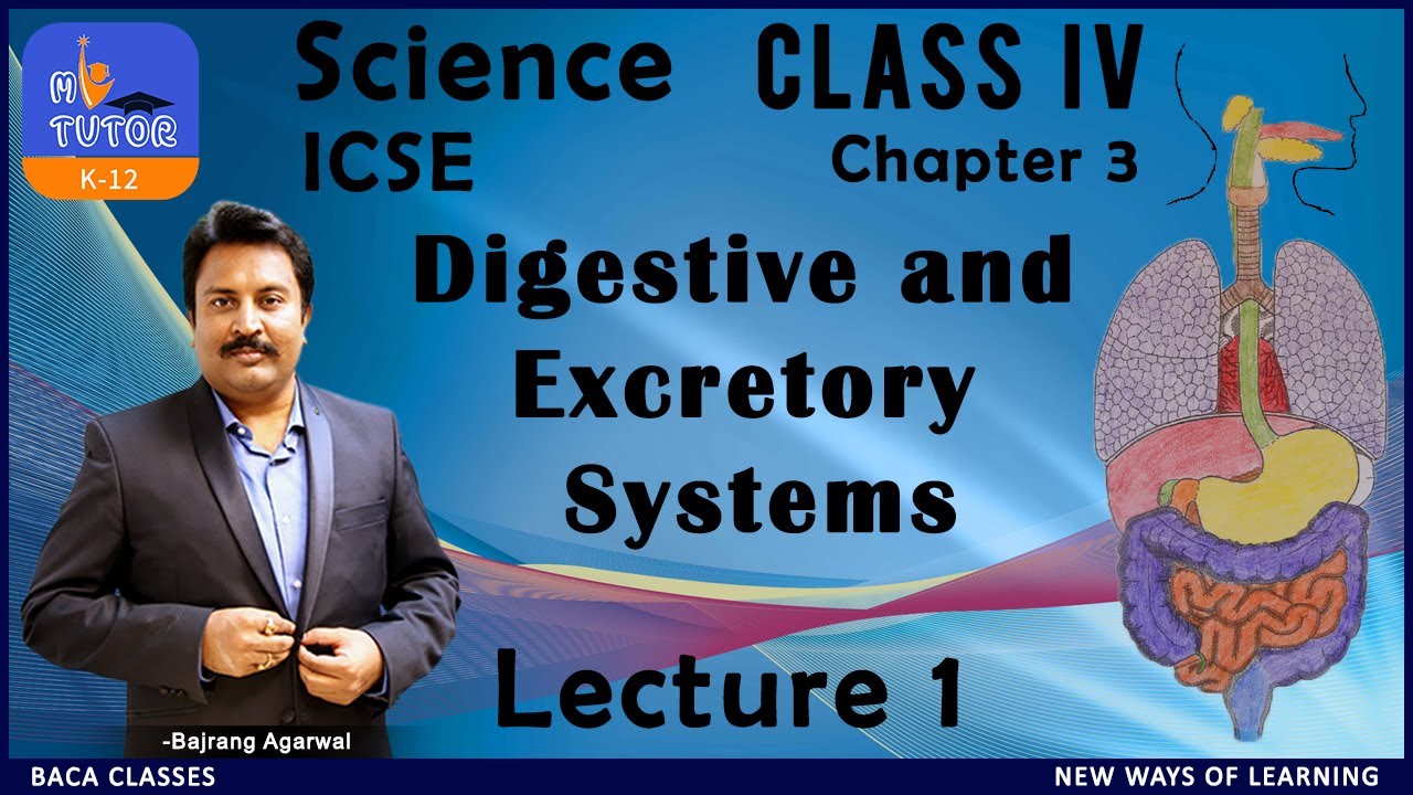 ICSE | Class IV | Science | Digestive And Excretory Systems | Chapter 3 ...