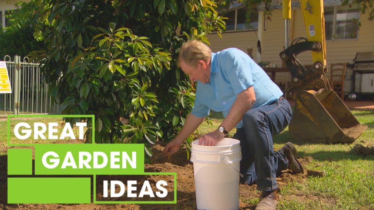 Tree Planting 101 | Gardening | Great Home Ideas - YouTube