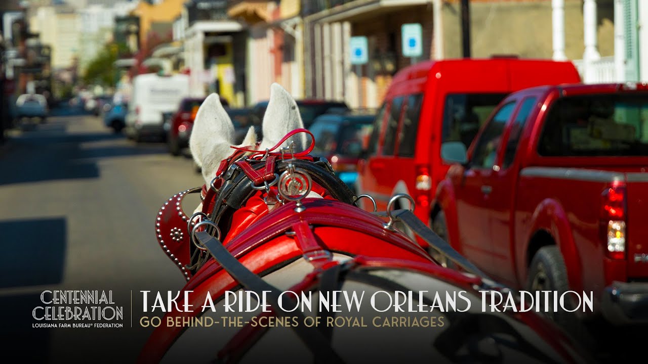 Take a Ride on a New Orleans Tradition - YouTube