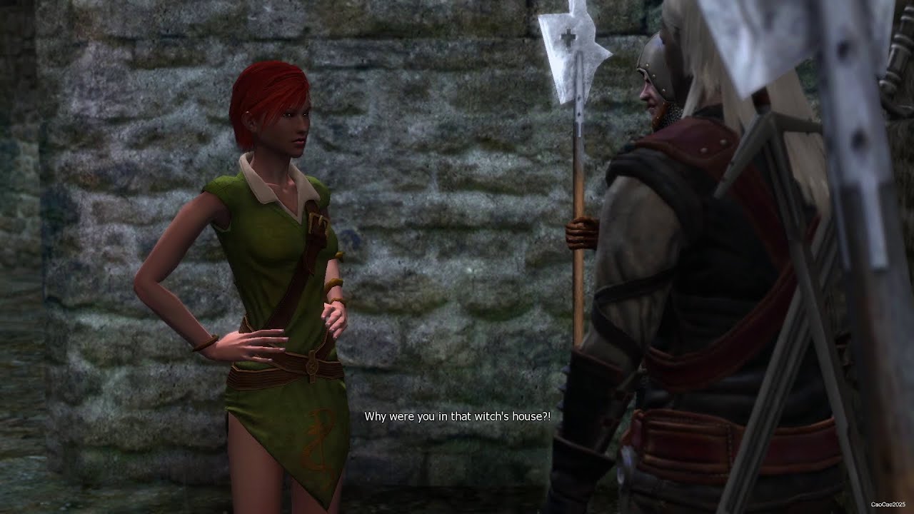 The Witcher : Enhanced Edition Walkthrough #50 Alvin's Custody - YouTube