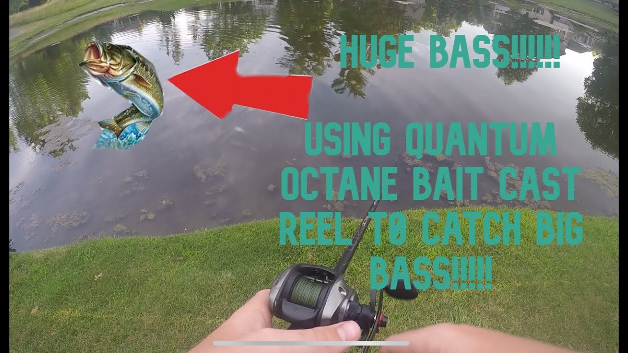 Using Quantum Octane Bait cast reel to catch BIG bass! - YouTube