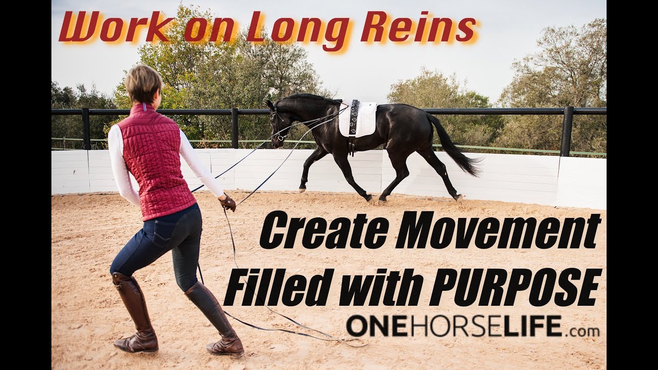 Create Movement Filled with Purpose: Long Reins Session with Anna ...