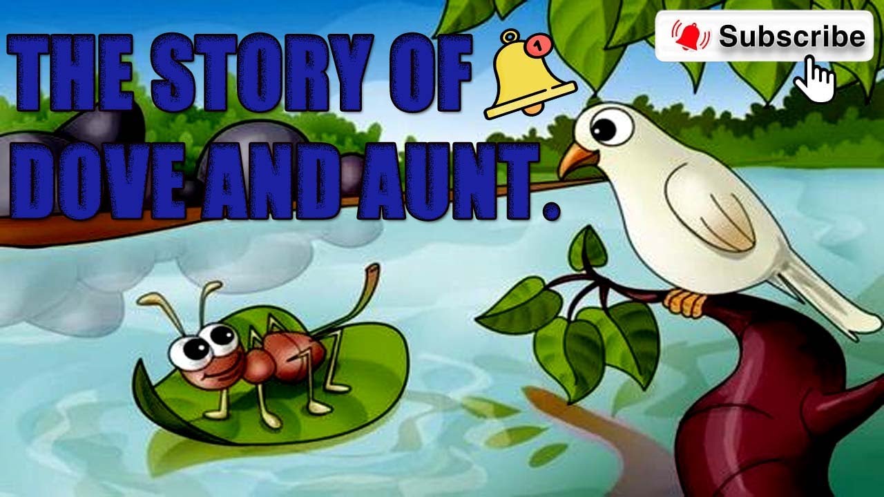 The story🏙️🌆 of dove🕊️ and aunt.|| dove and aunt || subscribe🔔🔔my ...