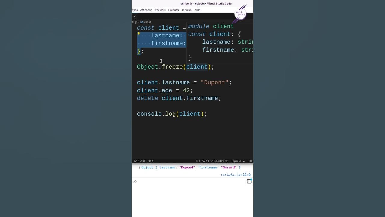 Introduction à Object.freeze et Object.seal en JavaScript 🚀 #développementweb #code #javascript ...