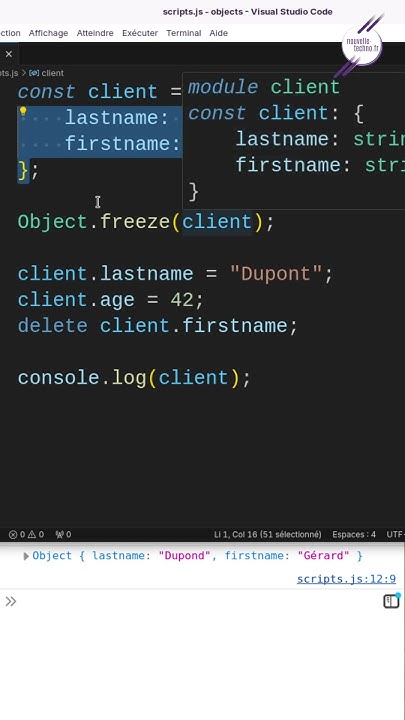 Introduction à Object.freeze et Object.seal en JavaScript 🚀 #développementweb #code #javascript ...