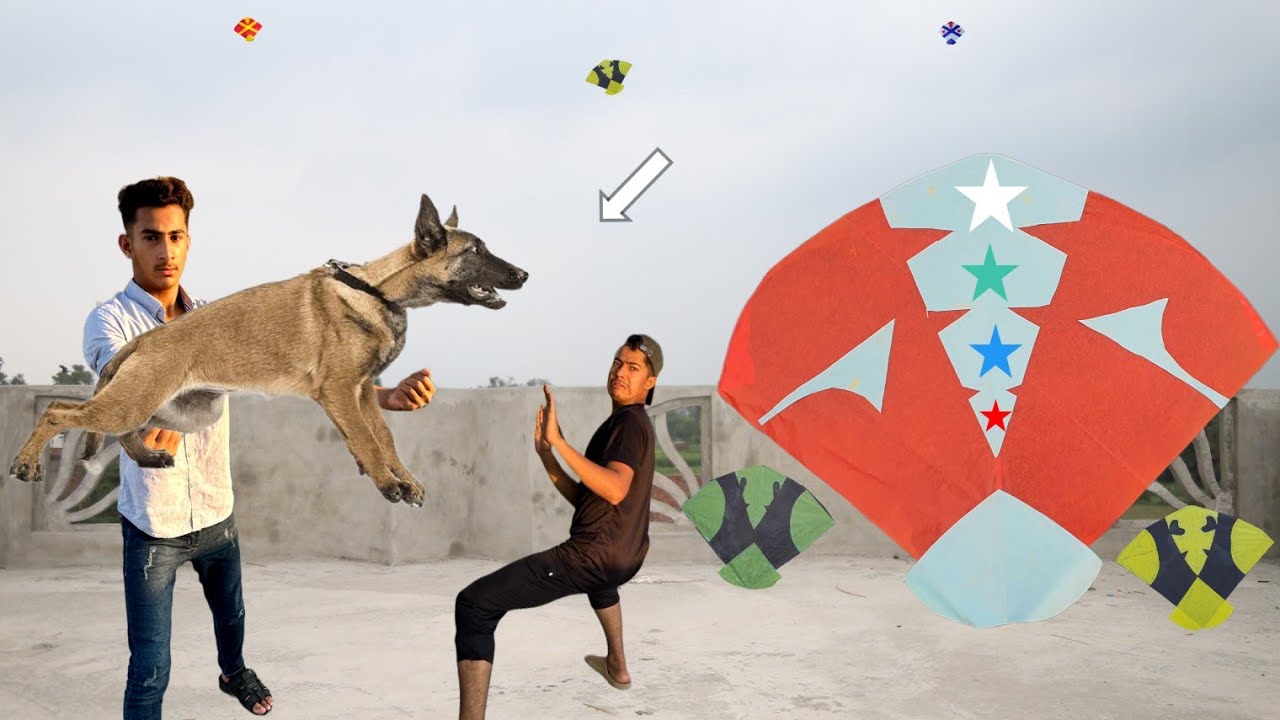 New Gudda Kite Buy With Dog Catch Nasir - YouTube