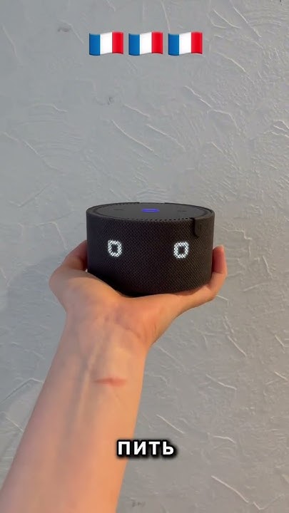 Купить умную колонку Алиса во Франции🇫🇷 можно в INST: electronics ...