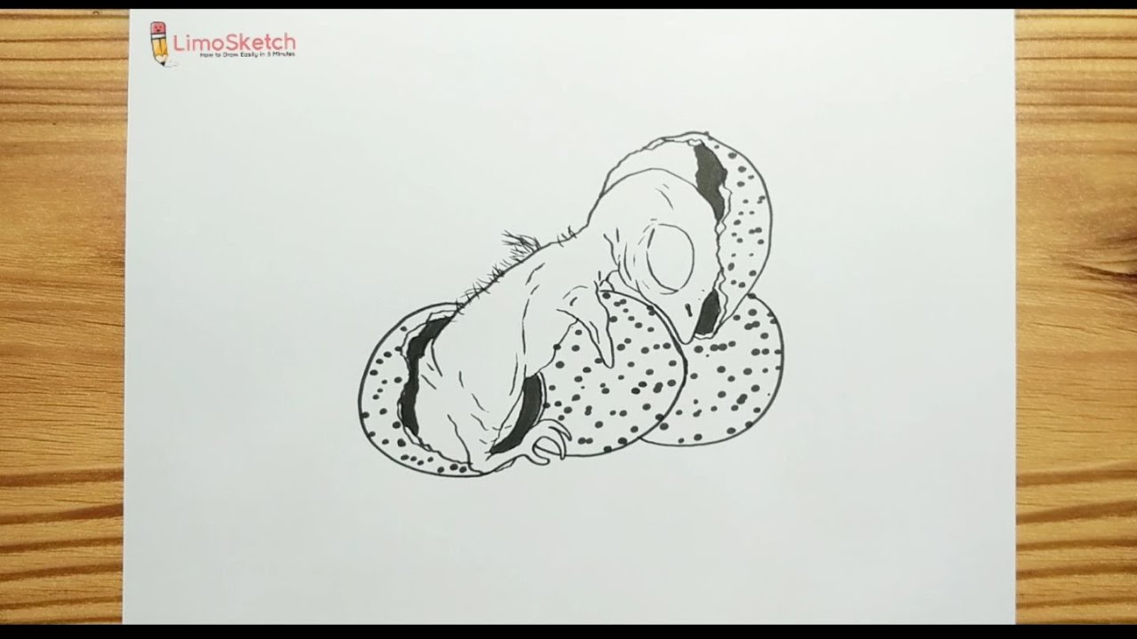 HOW TO DRAWING BABY BIRD HATCHING FROM EGG - YouTube