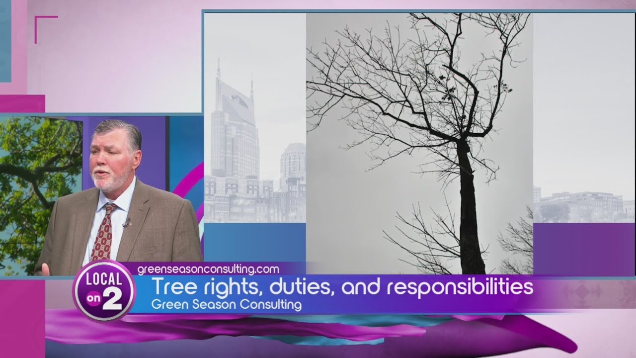 Tree Rights, Duties & Responsibilities - YouTube