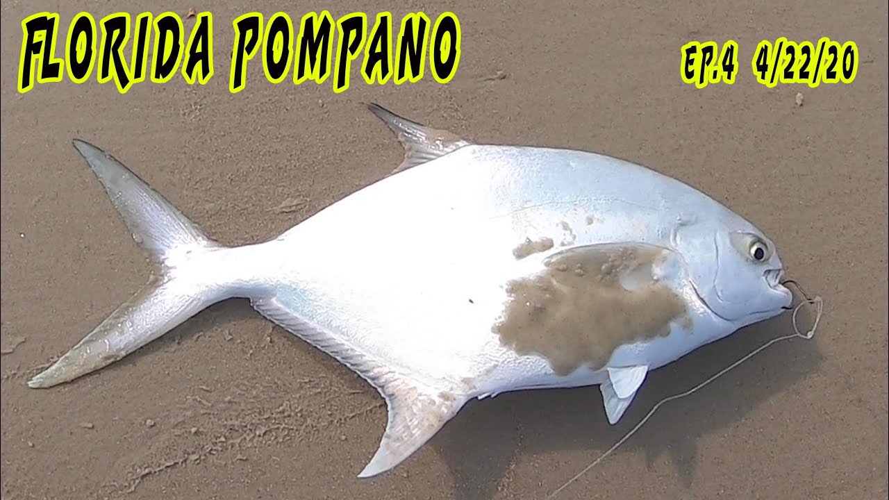 FLORIDA POMPANO EP.4 4 25 20 - YouTube