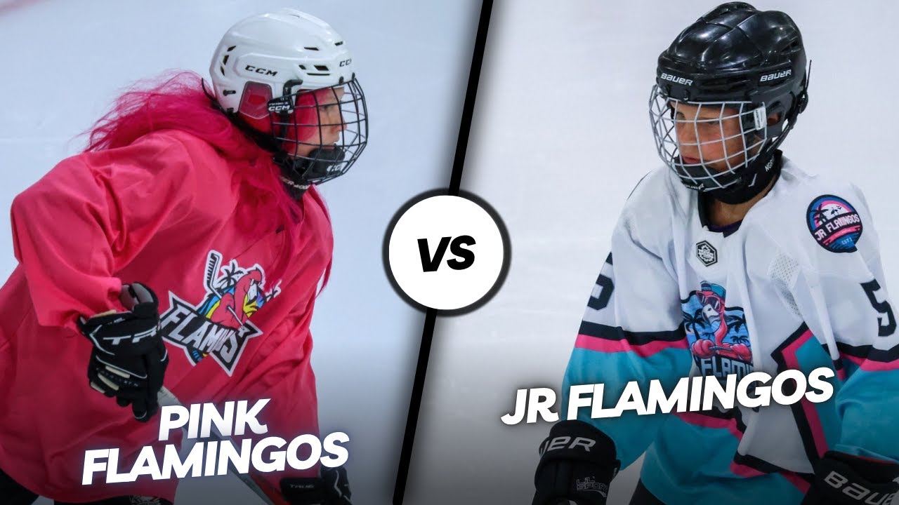 3on3 Classic - Season 9 - Pink Flamingos vs Jr Flamingos - YouTube