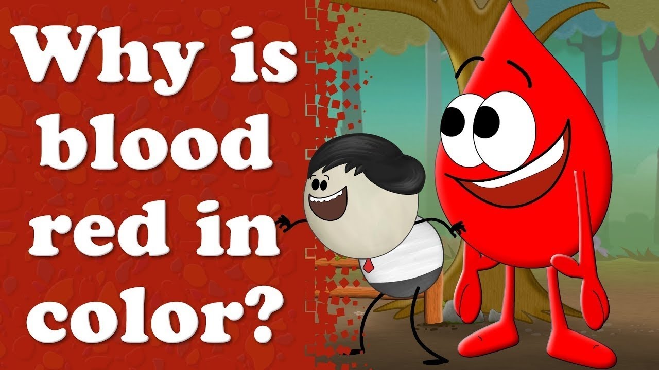 Why is human blood color red ? #youtube #neet #neet2025 #education # ...