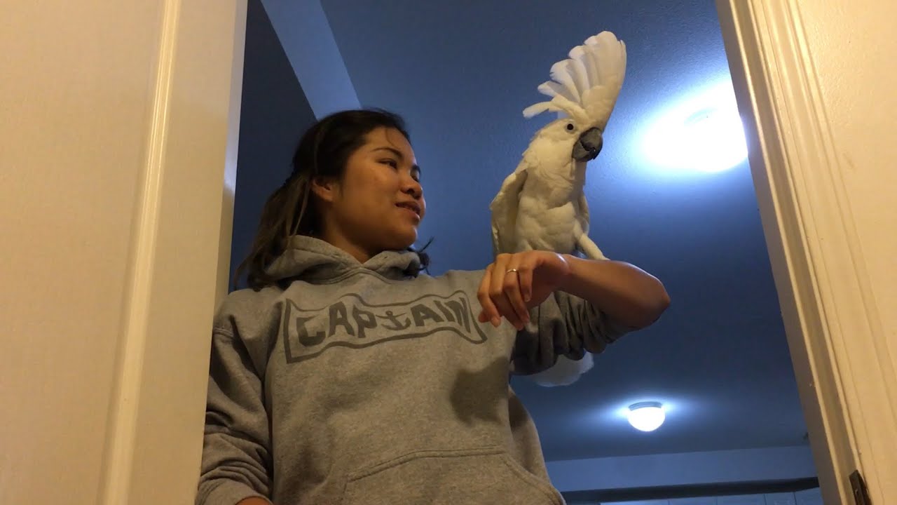 Daddy What Are U Doing In My Room Youtube