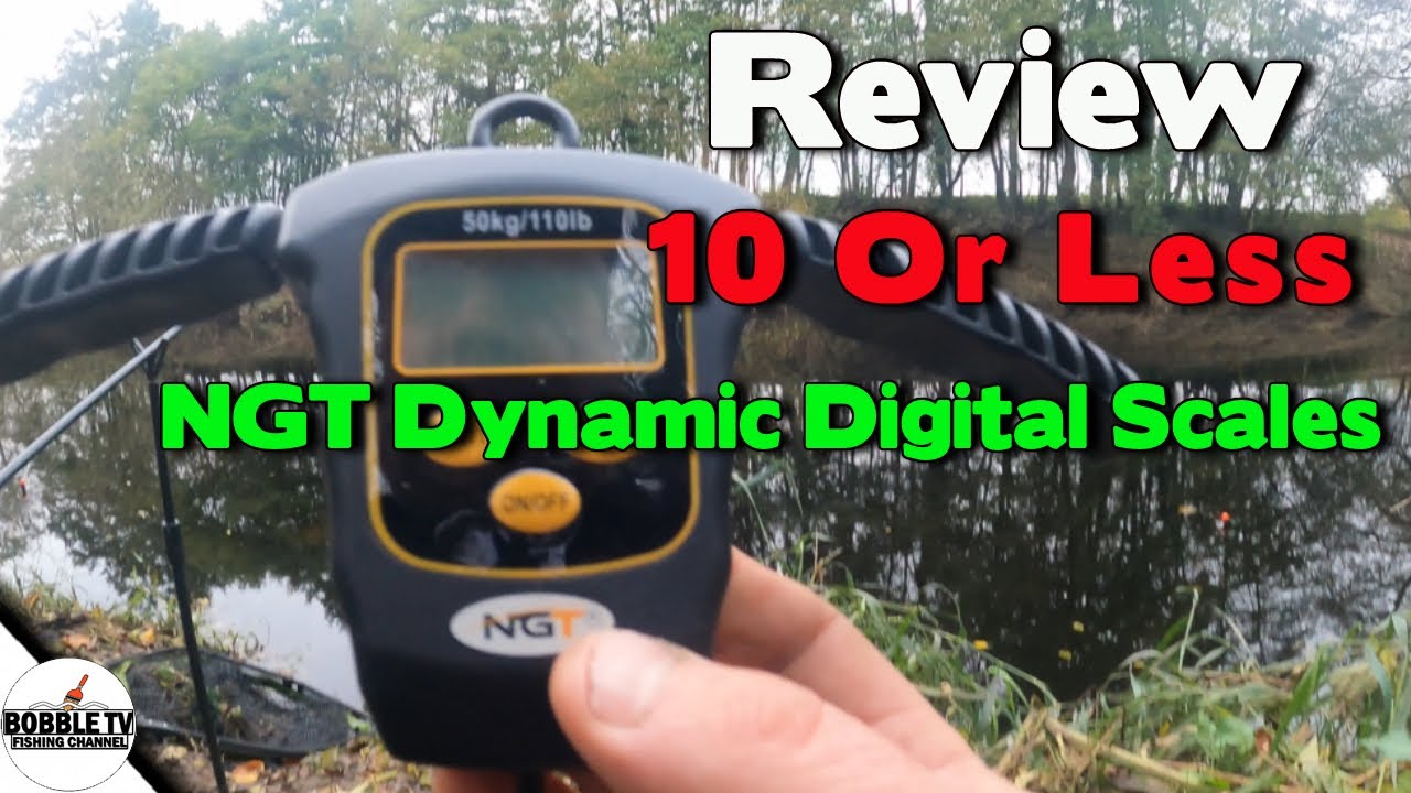 NGT Dynamic Digital Scales Review - YouTube