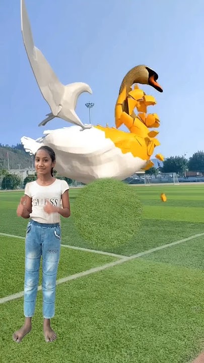 The_big_white_goose_and_the_eagle%F0%9F%A6%853D_Special_Effects___3D ...