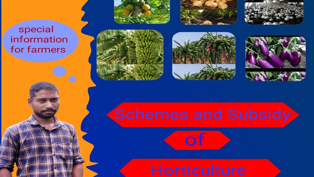 Farming schemes of Horticulture - YouTube