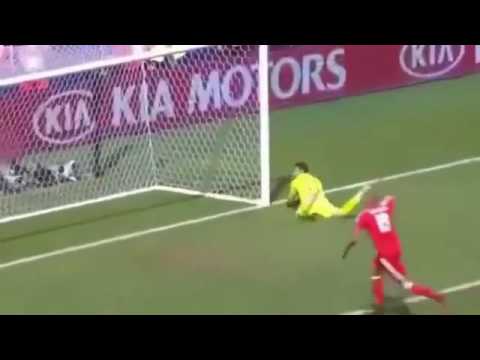 Xherdan Shaqiri Tor der EM2016 | Polen vs. Schweiz