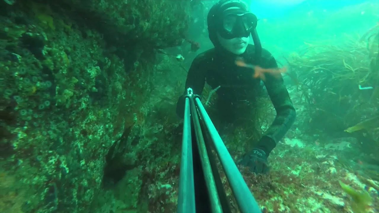 Spearfishing NZ 2014-2015 - YouTube