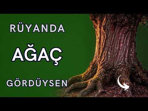 Rüyada Ağaç Görmek Ne Anlama Gelir | Kur’an'a Göre