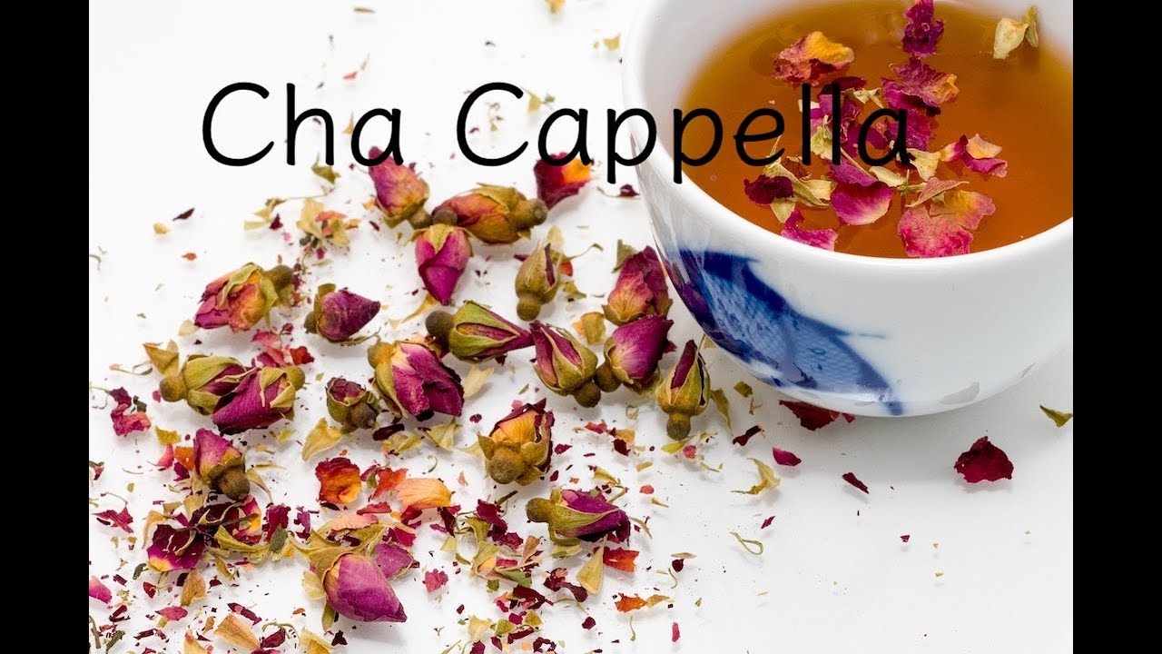 「ZyonMana BGM」Cha Cappella - YouTube Audio Library - YouTube