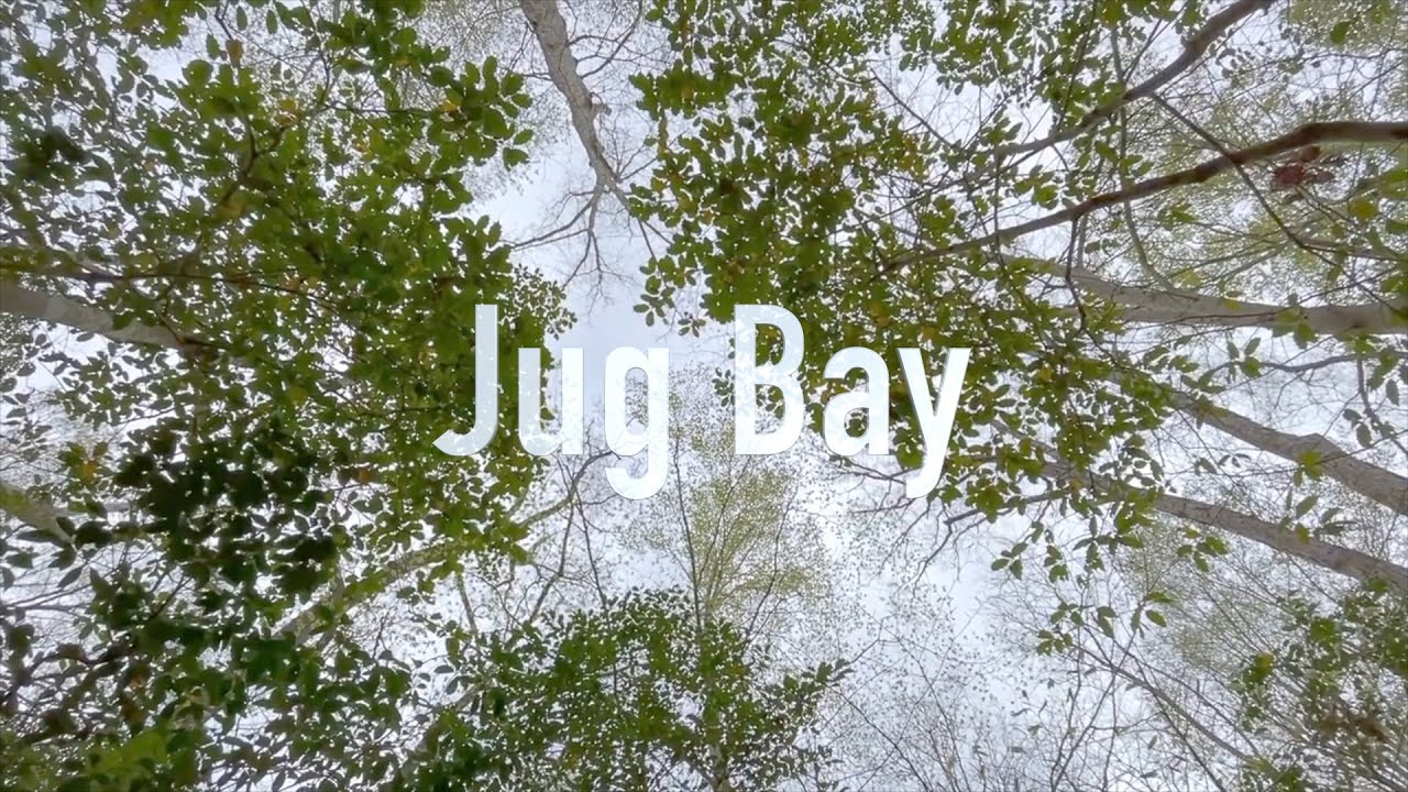 Jug Bay Wetlands Sanctuary | Lothian, Maryland - YouTube