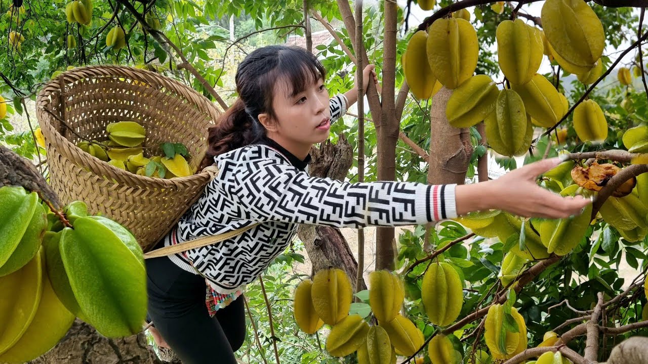 Process of making mixed fried rice, Have you ever eaten sour star fruit ...