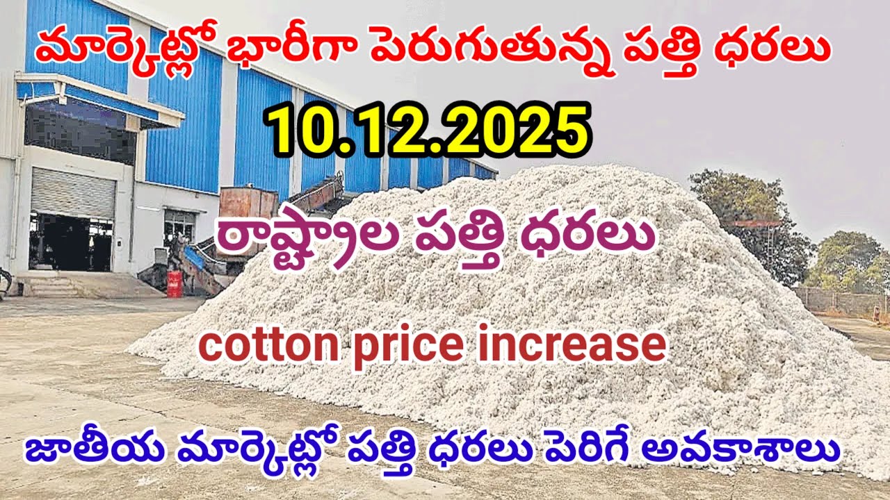మార్కెట్లో పత్తి ధరలు 10/12/2025 today cotton price /Telangana cotton ...