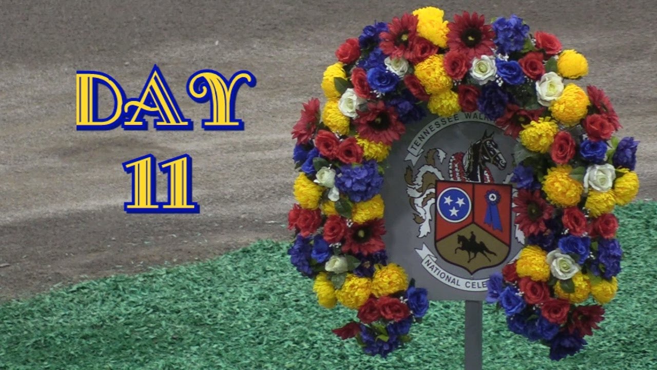 LINE ITEM VETO - 2022 TWHNC WGC - YouTube